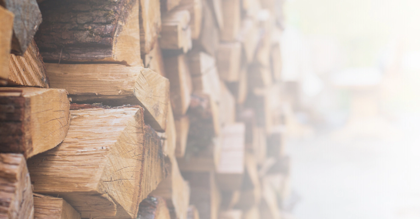 Tree Service Apple Valley, MN | Free Estimates | Above All Tree Service